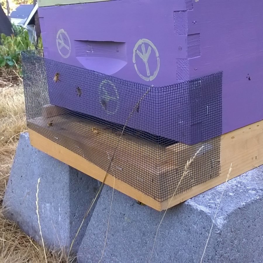 Some Things I've Learned - Puget Sound Beekeepers Association